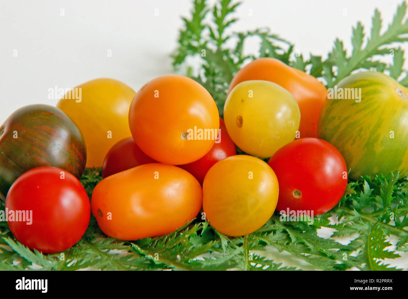 Wildtomaten hi-res stock photography and images - Alamy