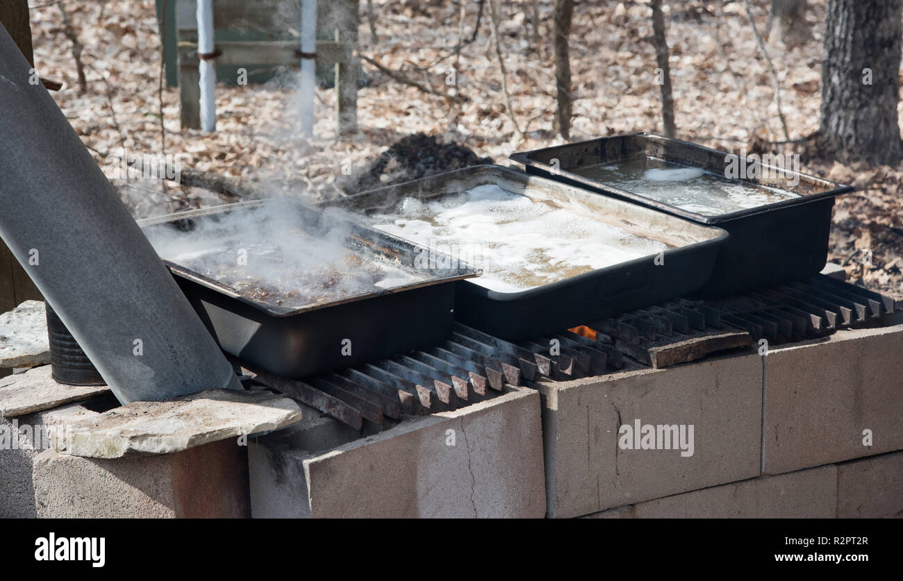 Three pans on outdoor stove with concrete blocks during maple sap boil ...