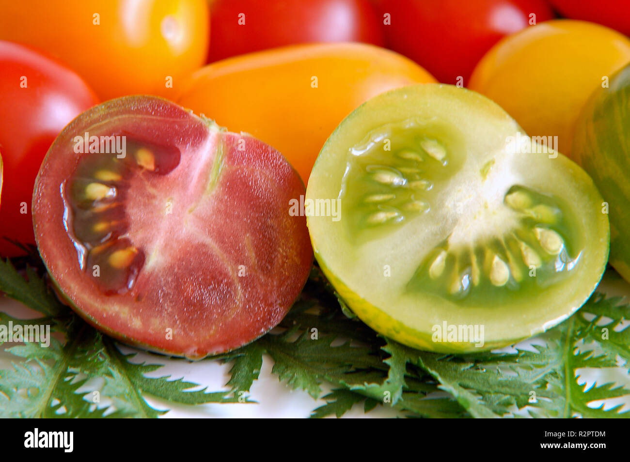 Wildtomaten hi-res stock photography and images - Alamy