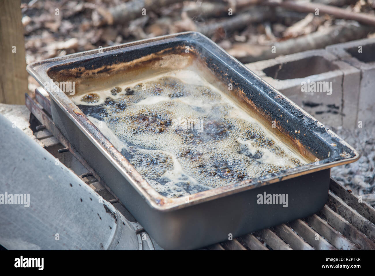 Detail of maple tree sap boil to make a homemade syrup with outdoor ...