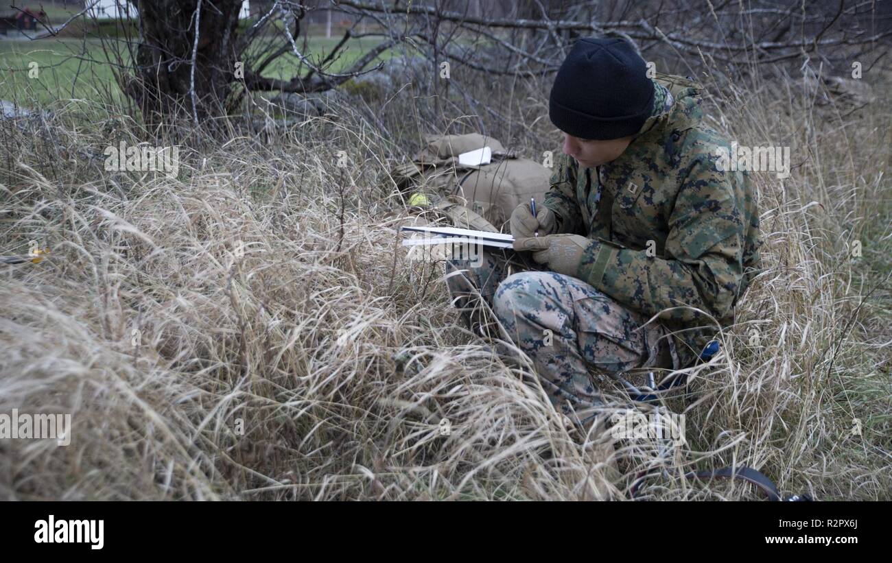 Marine corps combat artist hi-res stock photography and images - Alamy
