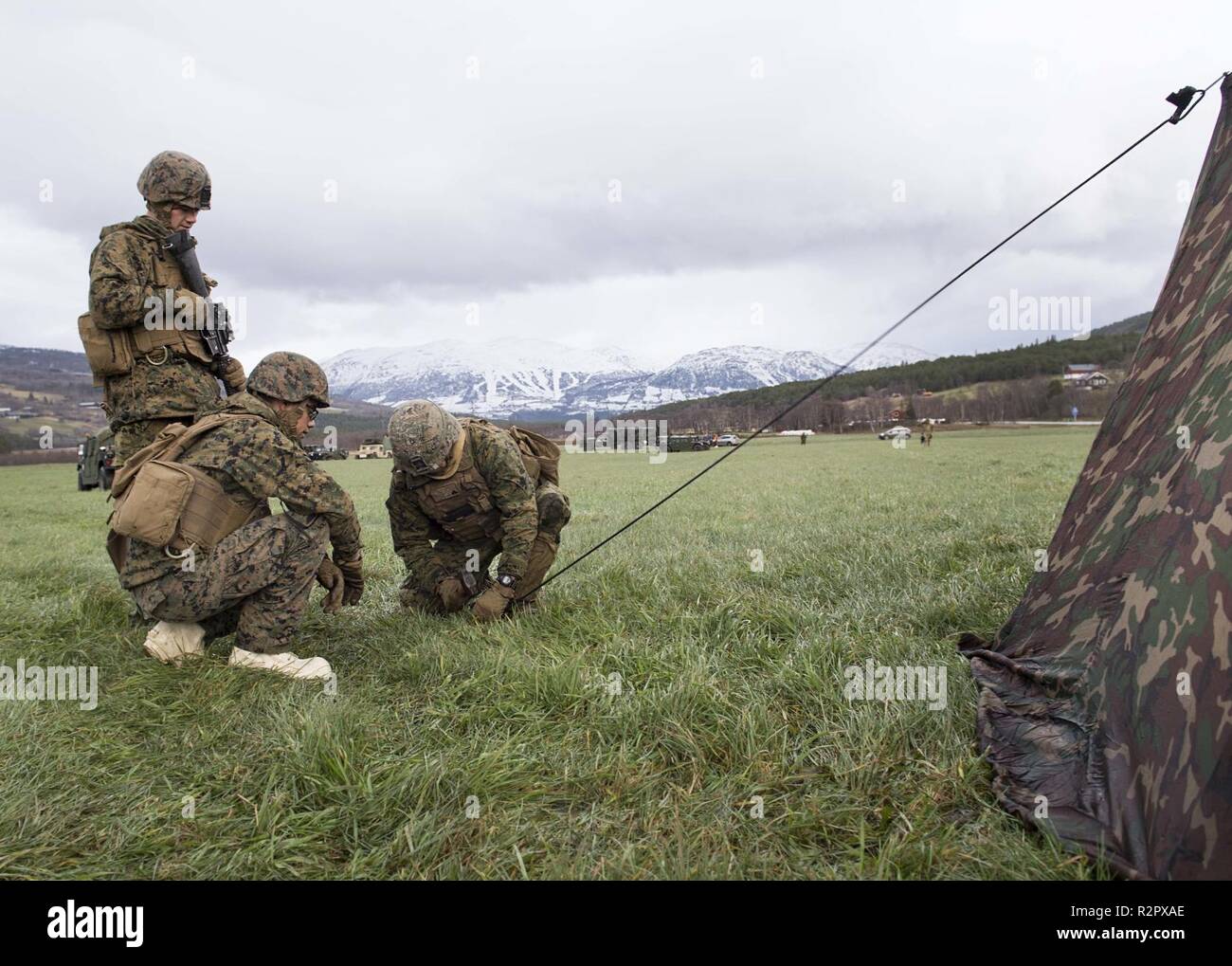 U.S. Marines with Echo Battery, 2nd Battalion, 10th Marines, 2D Marine ...