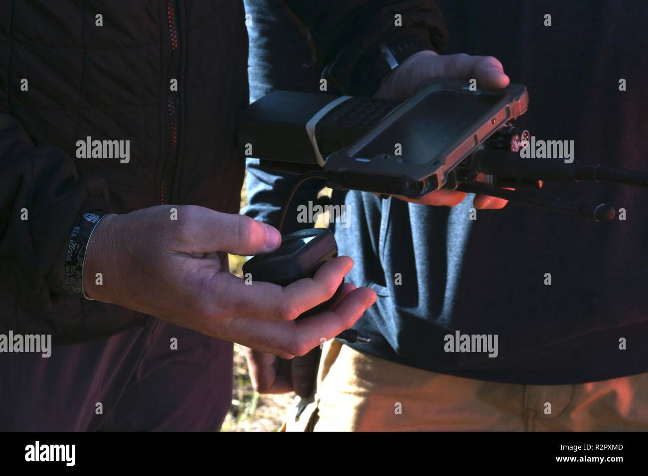 Staggs hi-res stock photography and images - Alamy