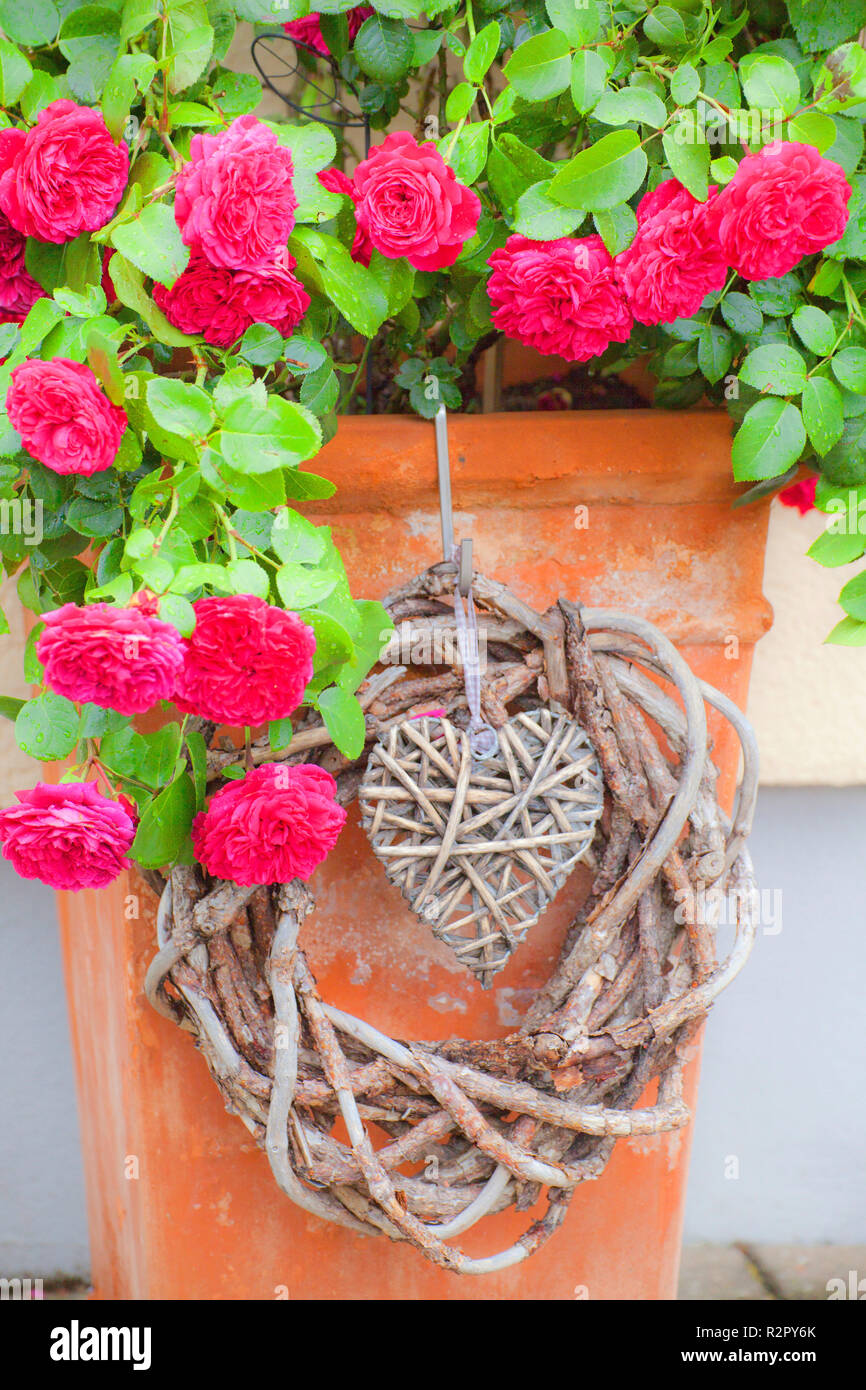 Decorated plant pot with rose Stock Photo - Alamy