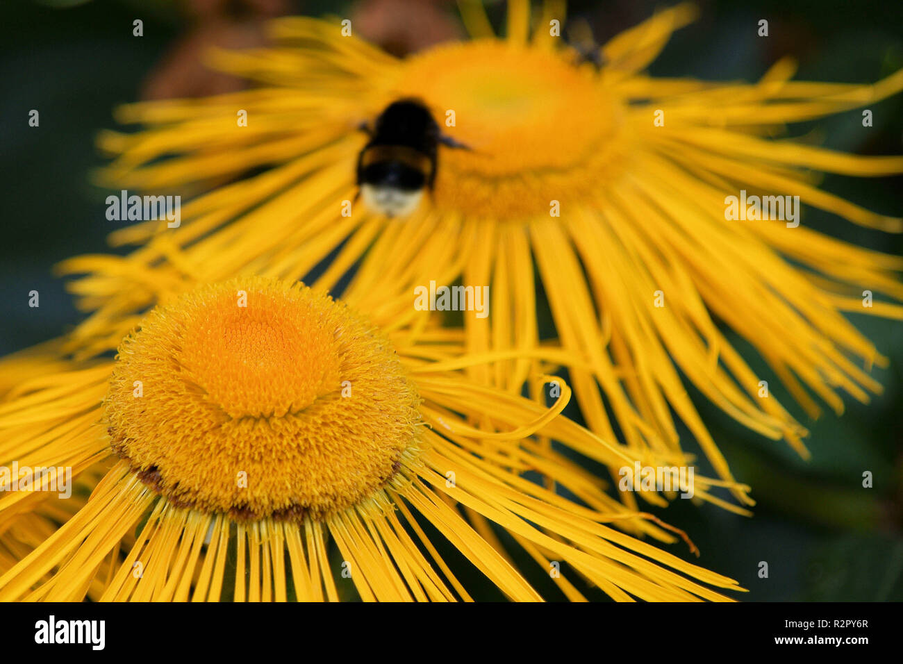 the next please Stock Photo - Alamy