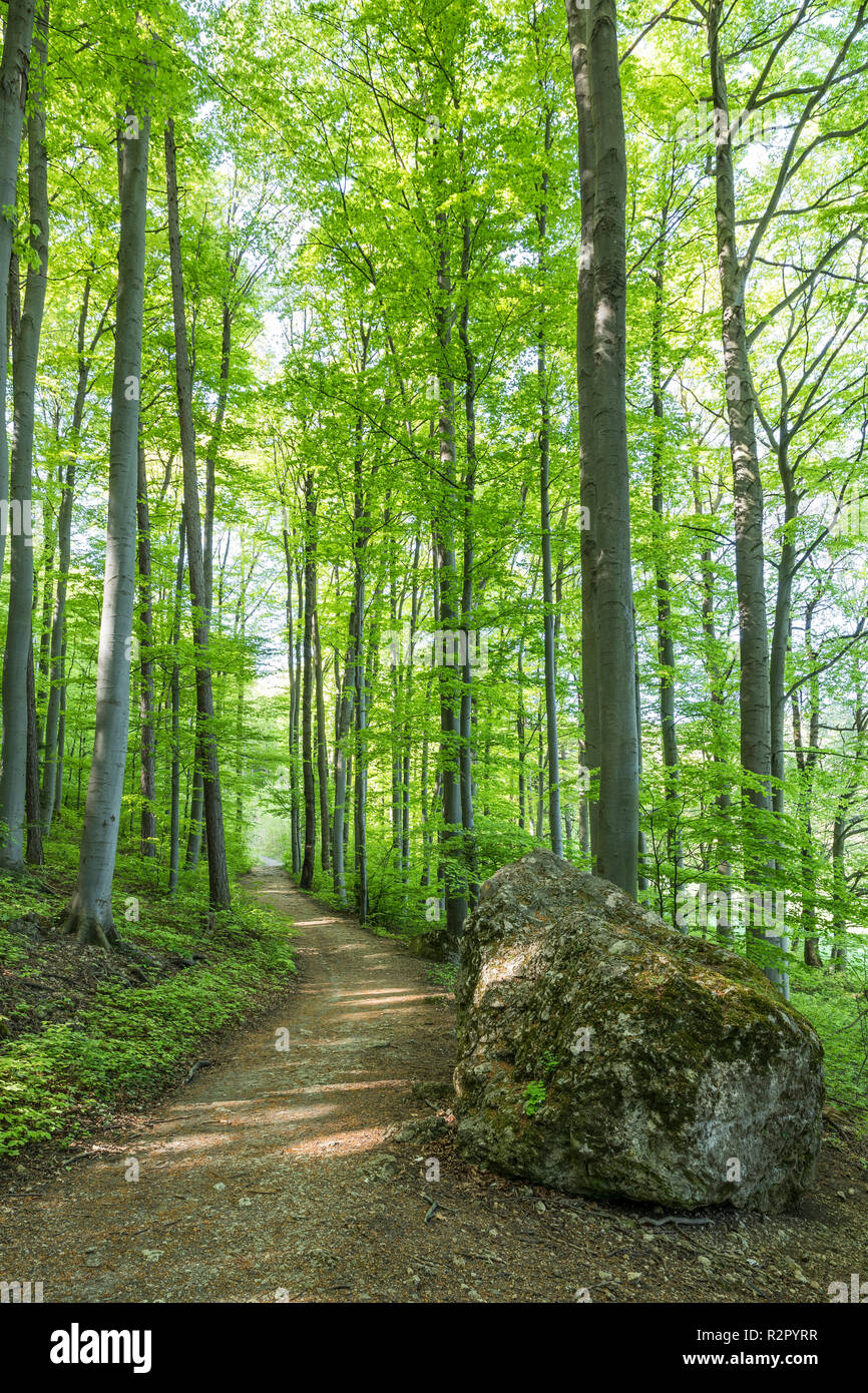 Vienna woods austria hi-res stock photography and images - Alamy