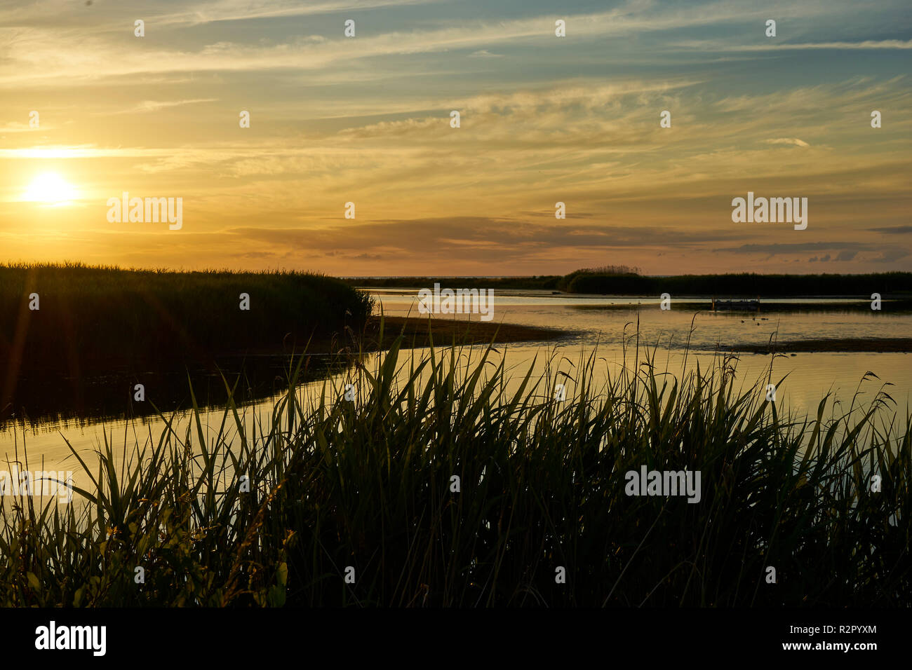 Probstei hi-res stock photography and images - Alamy