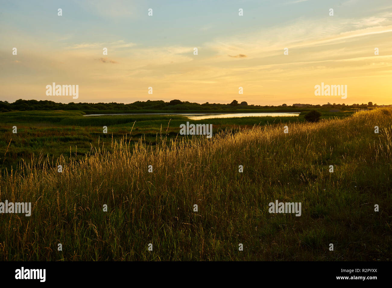 Probstei hi-res stock photography and images - Alamy