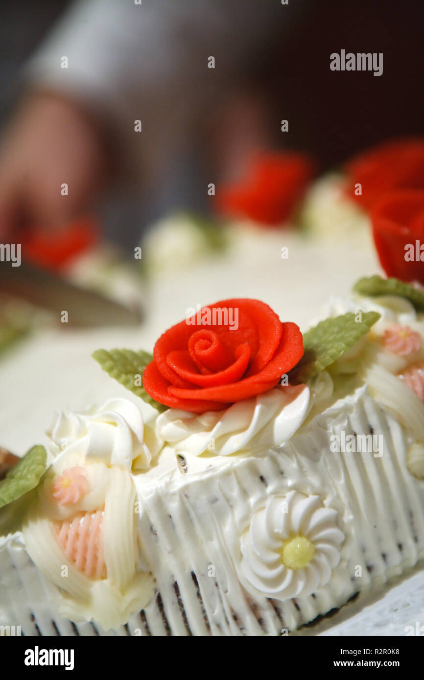 Marzipanrose hi-res stock photography and images - Alamy