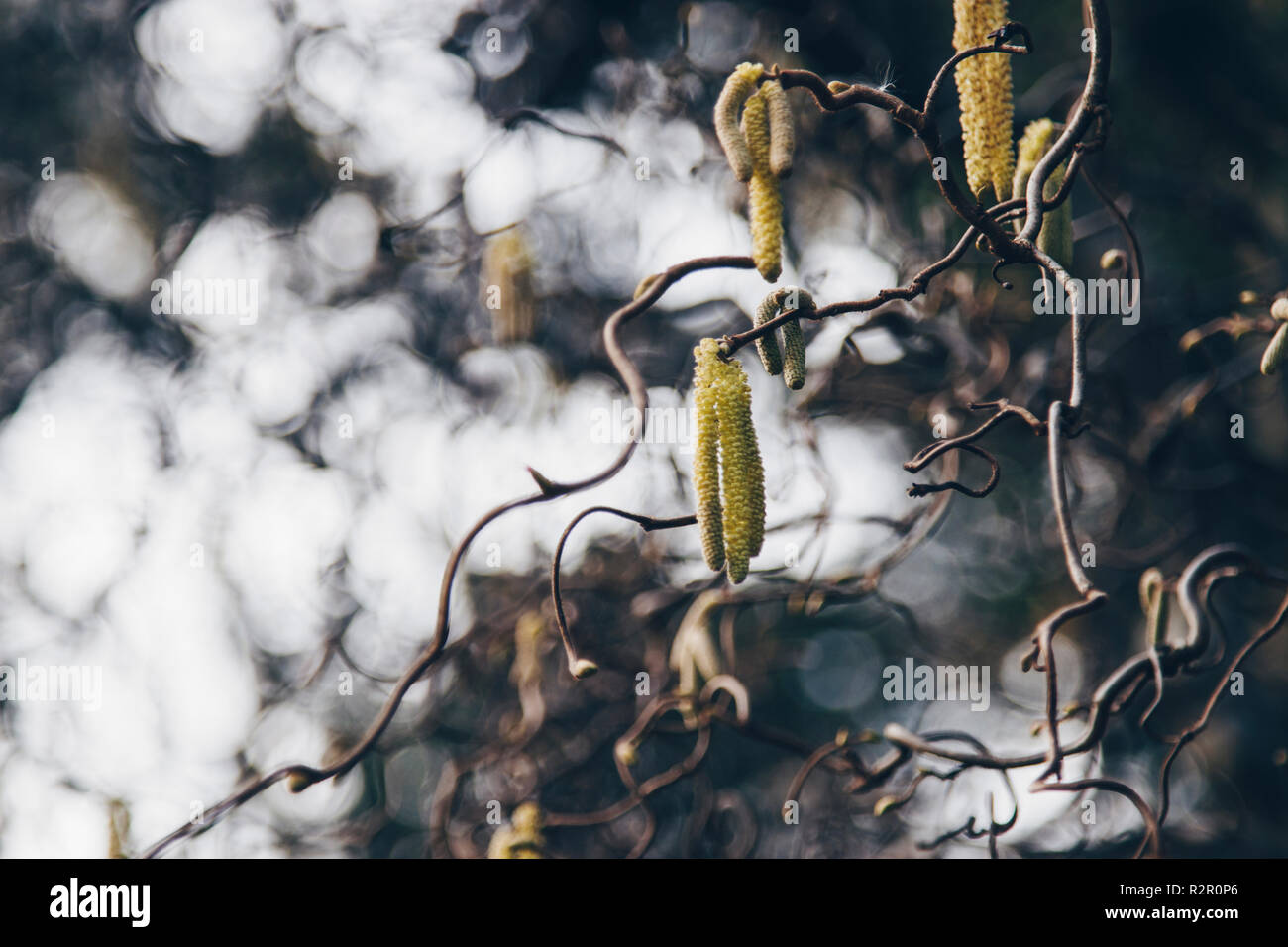 Early march hi-res stock photography and images - Alamy