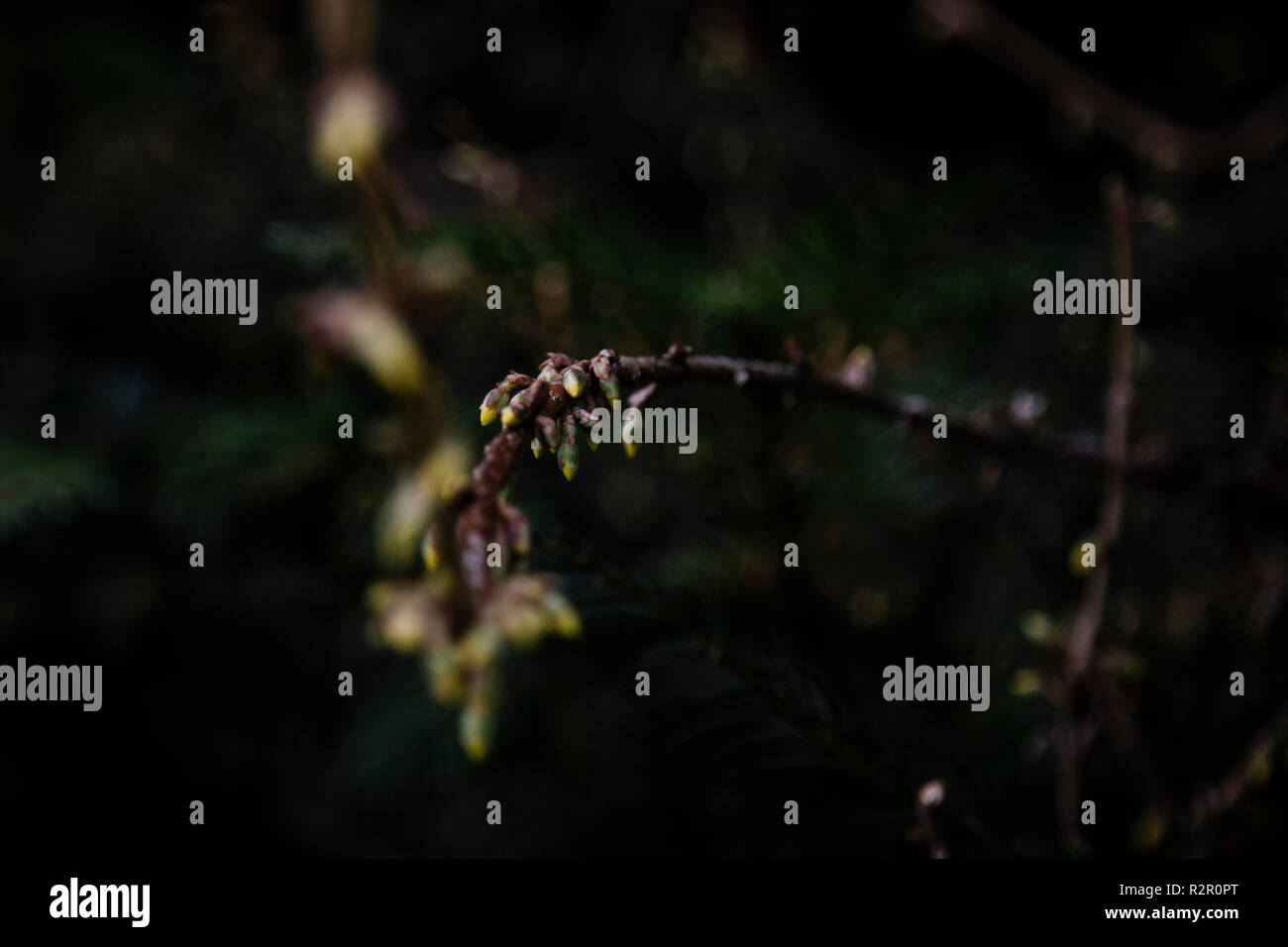 First sun in march hi-res stock photography and images - Alamy