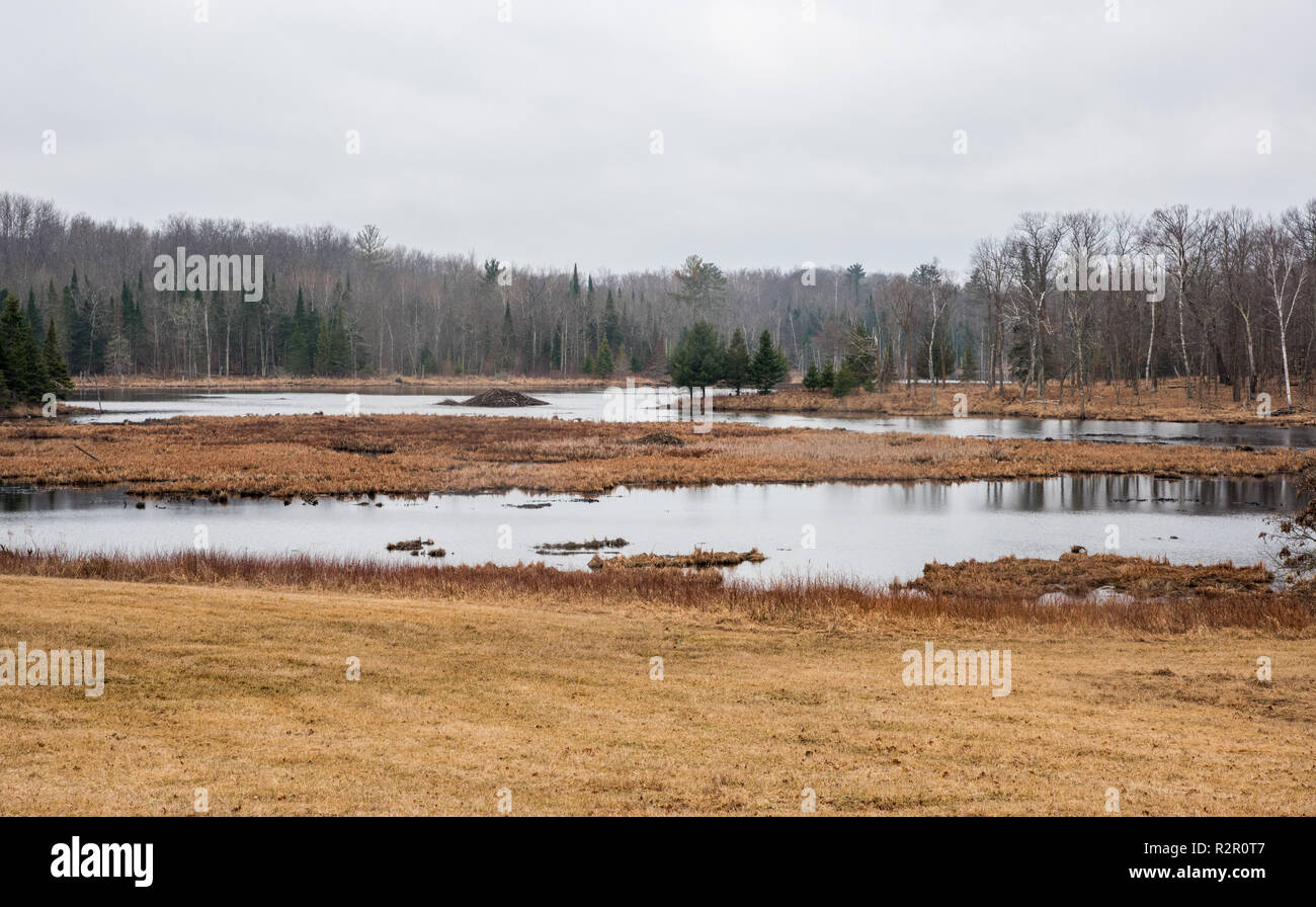 Rural Minnesota landscape during winter with water and forest views on ...
