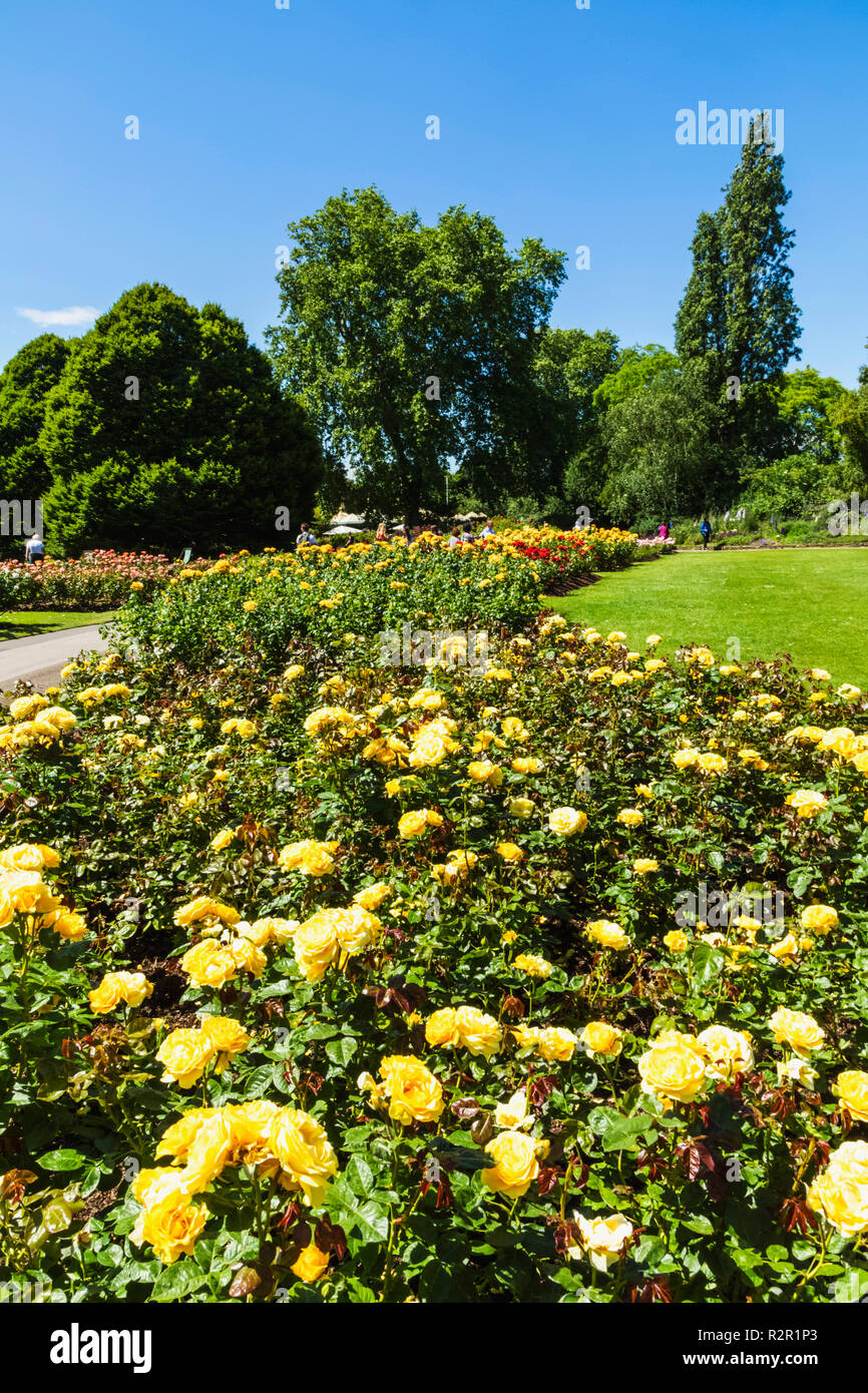 English gardens regents park hi-res stock photography and images - Alamy