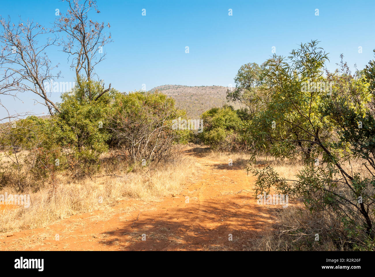 Kunkuru lodge hi-res stock photography and images - Alamy