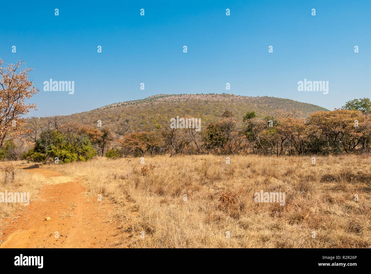 Kunkuru private lodge in the bush veld area of South Africa Stock Photo ...