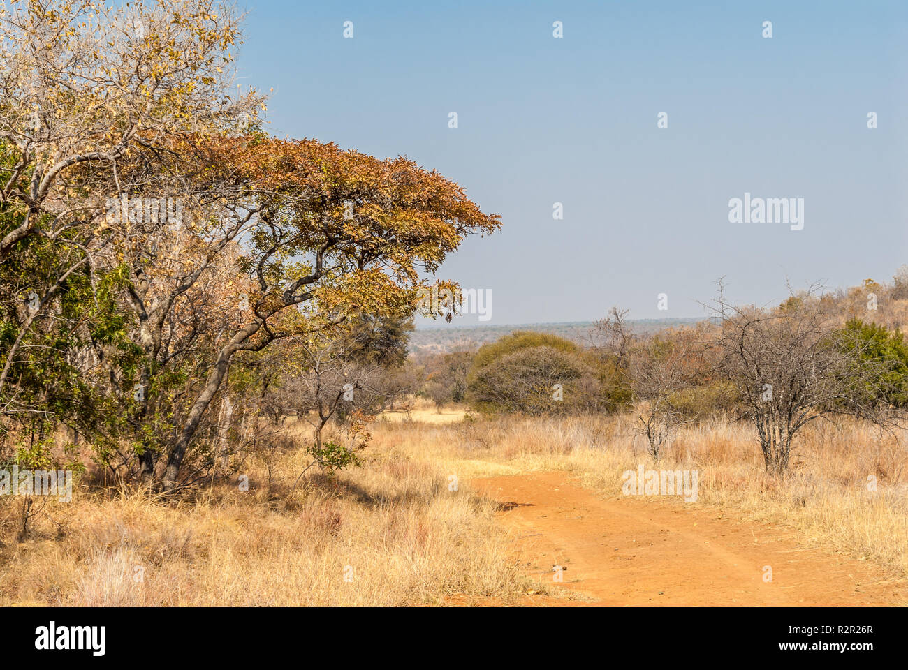 Kunkuru lodge hi-res stock photography and images - Alamy