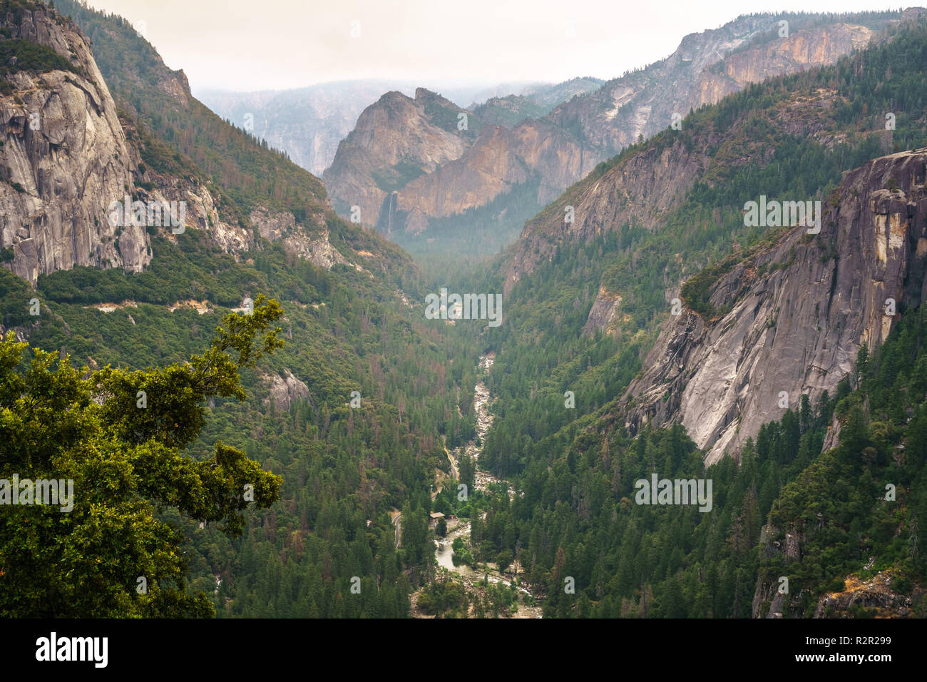Aerial view of Merced river flowing from Yosemite Valley; Brideveil ...
