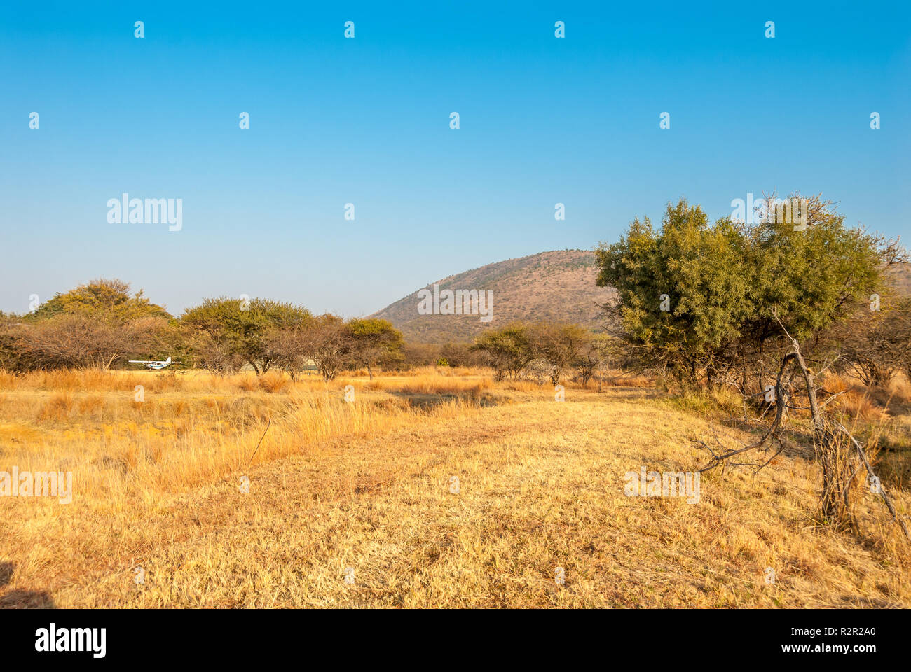 Kunkuru private lodge in the bush veld area of South Africa Stock Photo ...