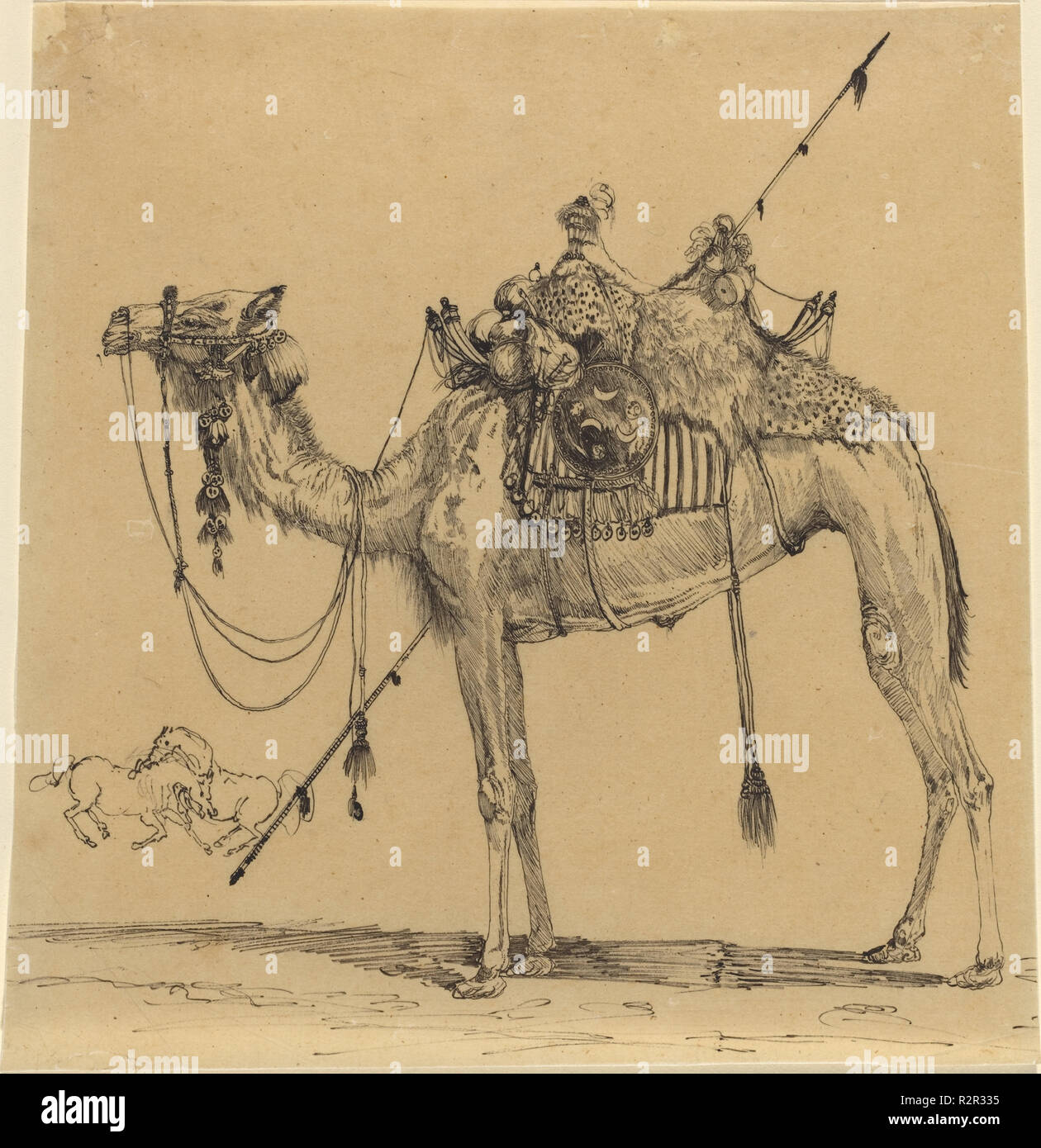 Camel pen hi-res stock photography and images - Alamy