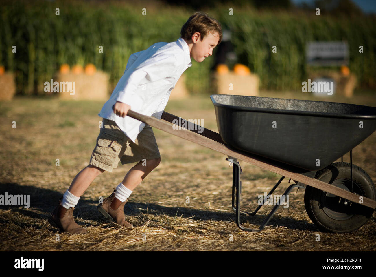 Young boy pushing a wheelbarrow Stock Photo - Alamy