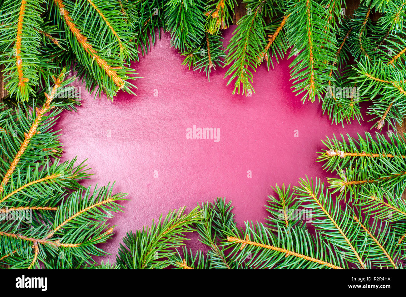 Creative layout of branches of Christmas tree with color paper card ...