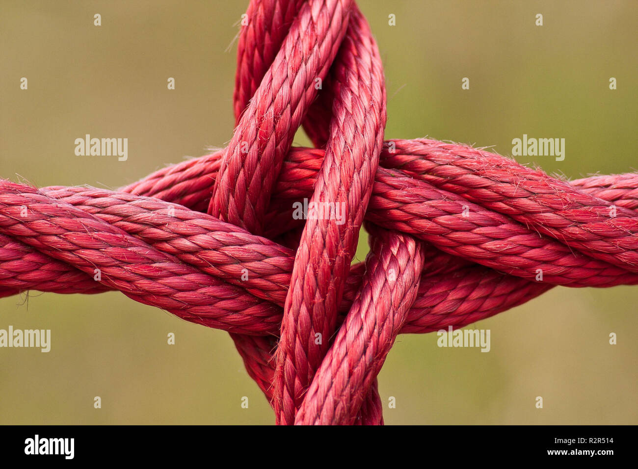 Fibre node hi-res stock photography and images - Alamy