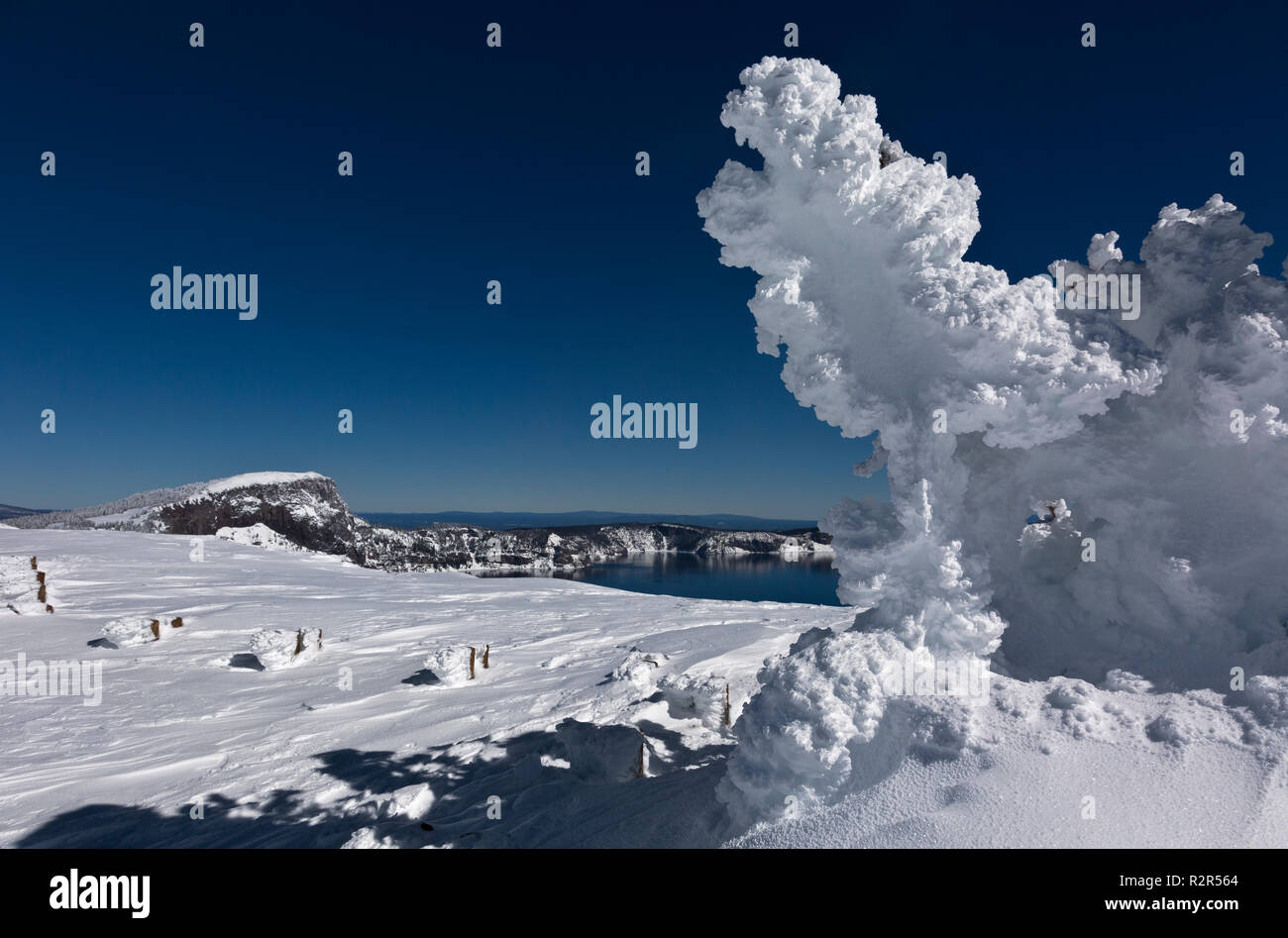 Ice coated on trees hi-res stock photography and images - Alamy