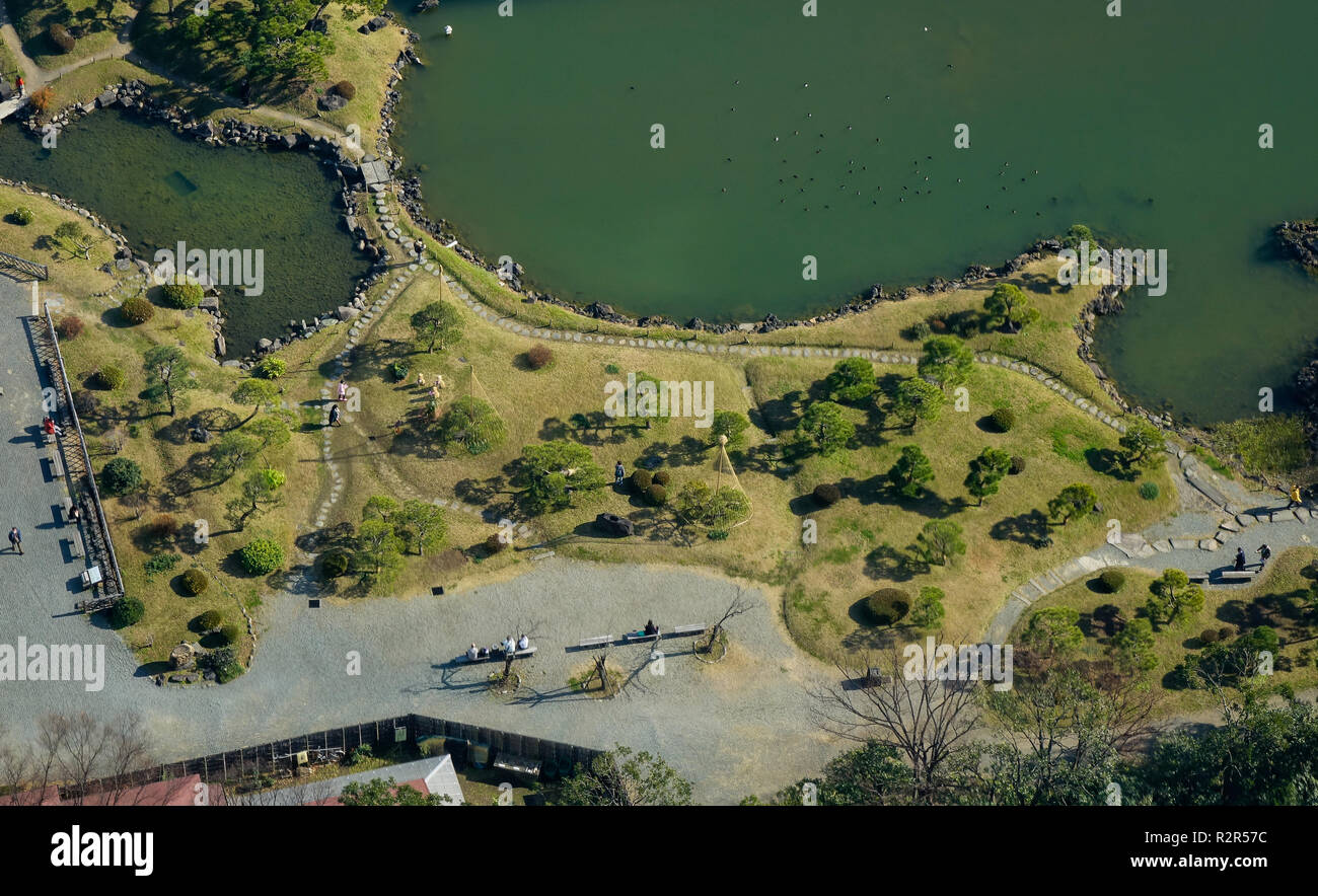 Aerial view of city park at downtown in Tokyo, Japan Stock Photo - Alamy