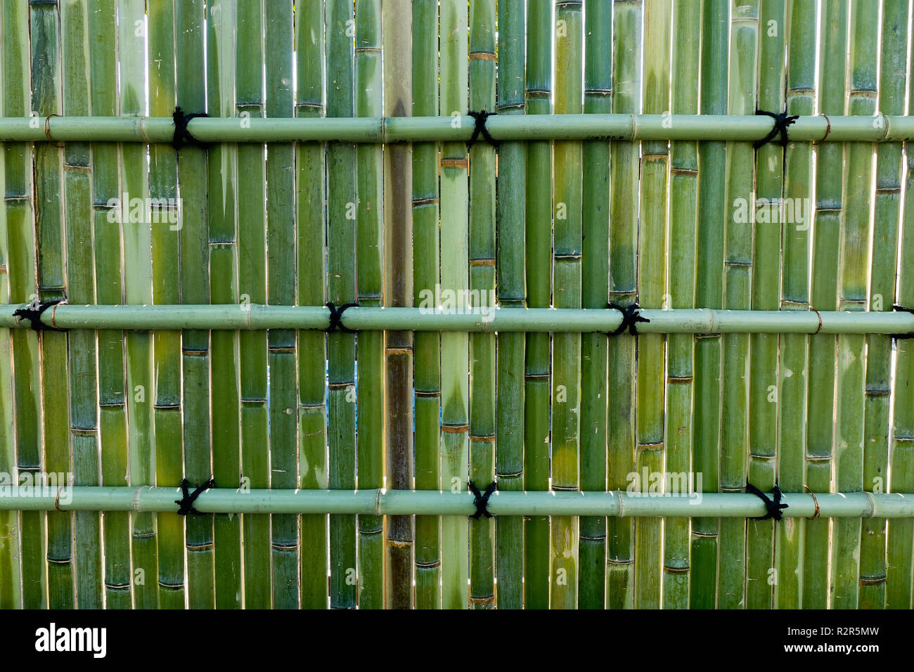 Bamboo Wall High Resolution Stock Photography and Images - Alamy
