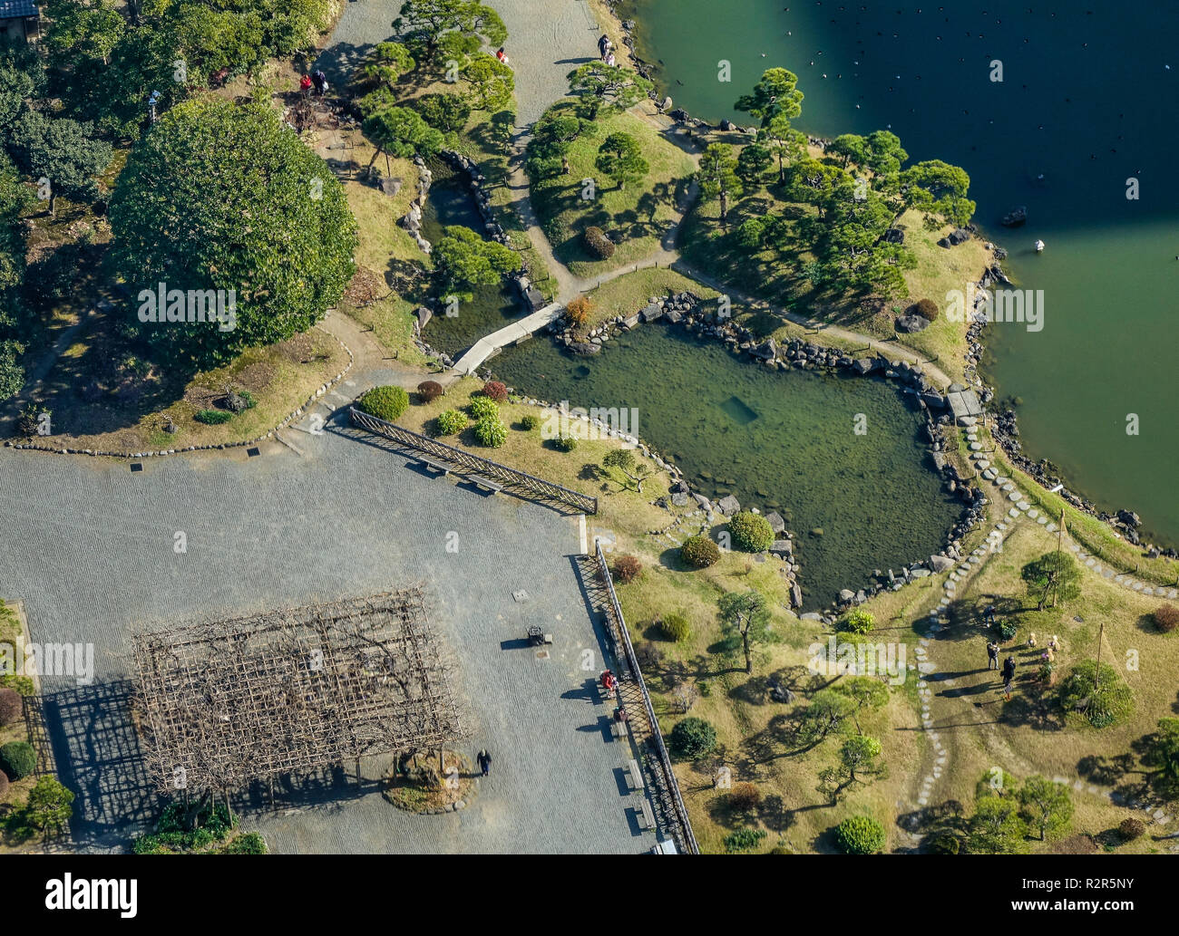 Aerial view of city park at downtown in Tokyo, Japan Stock Photo - Alamy