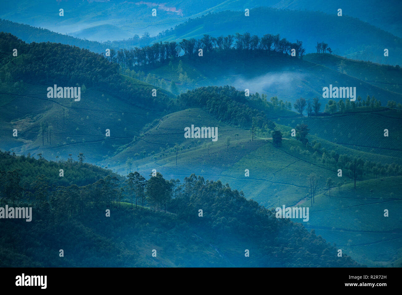 Image of Kerala India travel background - green tea plantations in ...