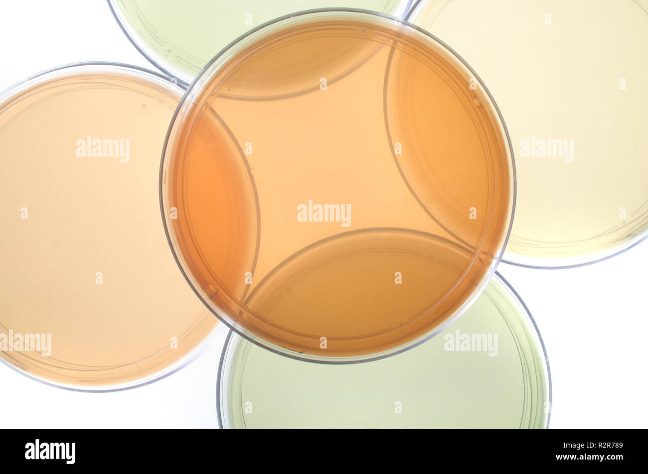 Laboratory dishes hi-res stock photography and images - Alamy