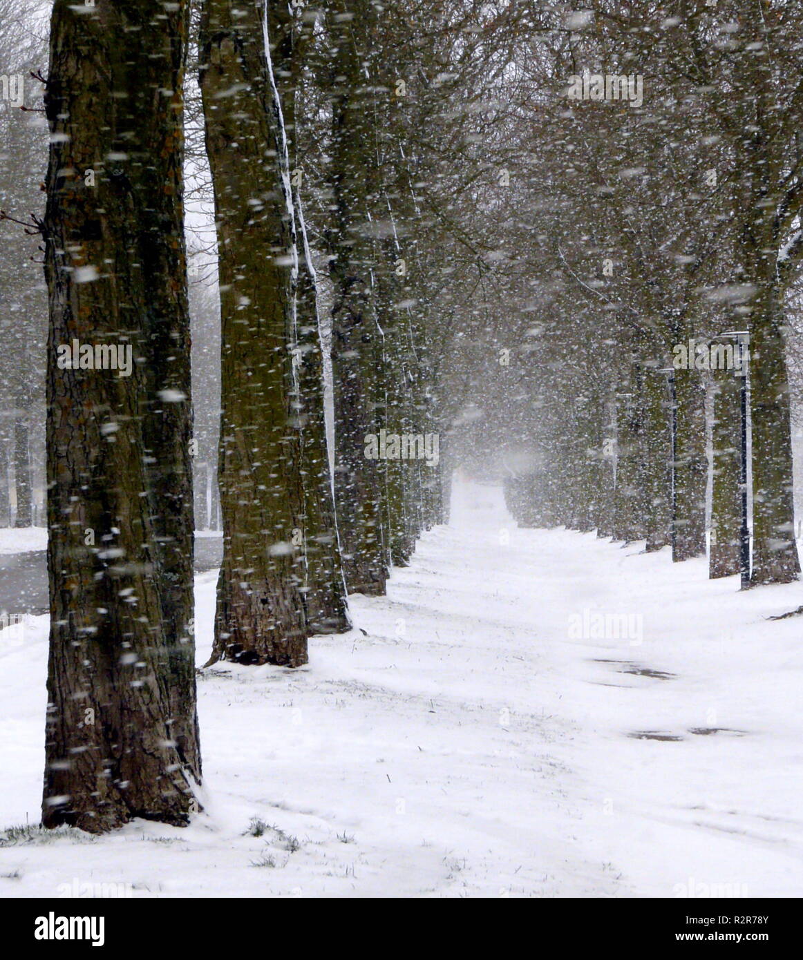 Blowing snows hi-res stock photography and images - Alamy