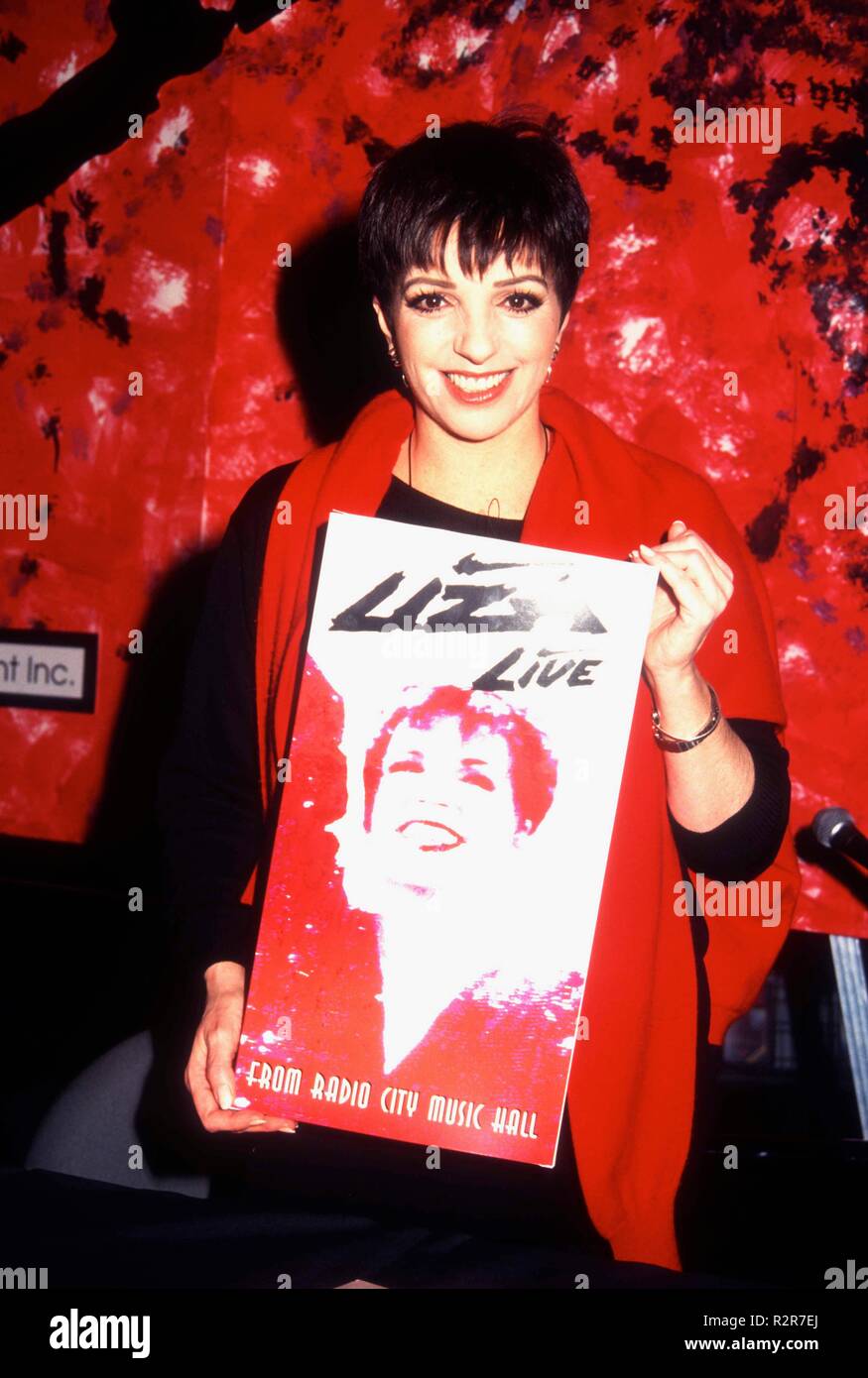 LOS ANGELES, CA - JANUARY 27: Actress/singer Liza Minelli autographs ...