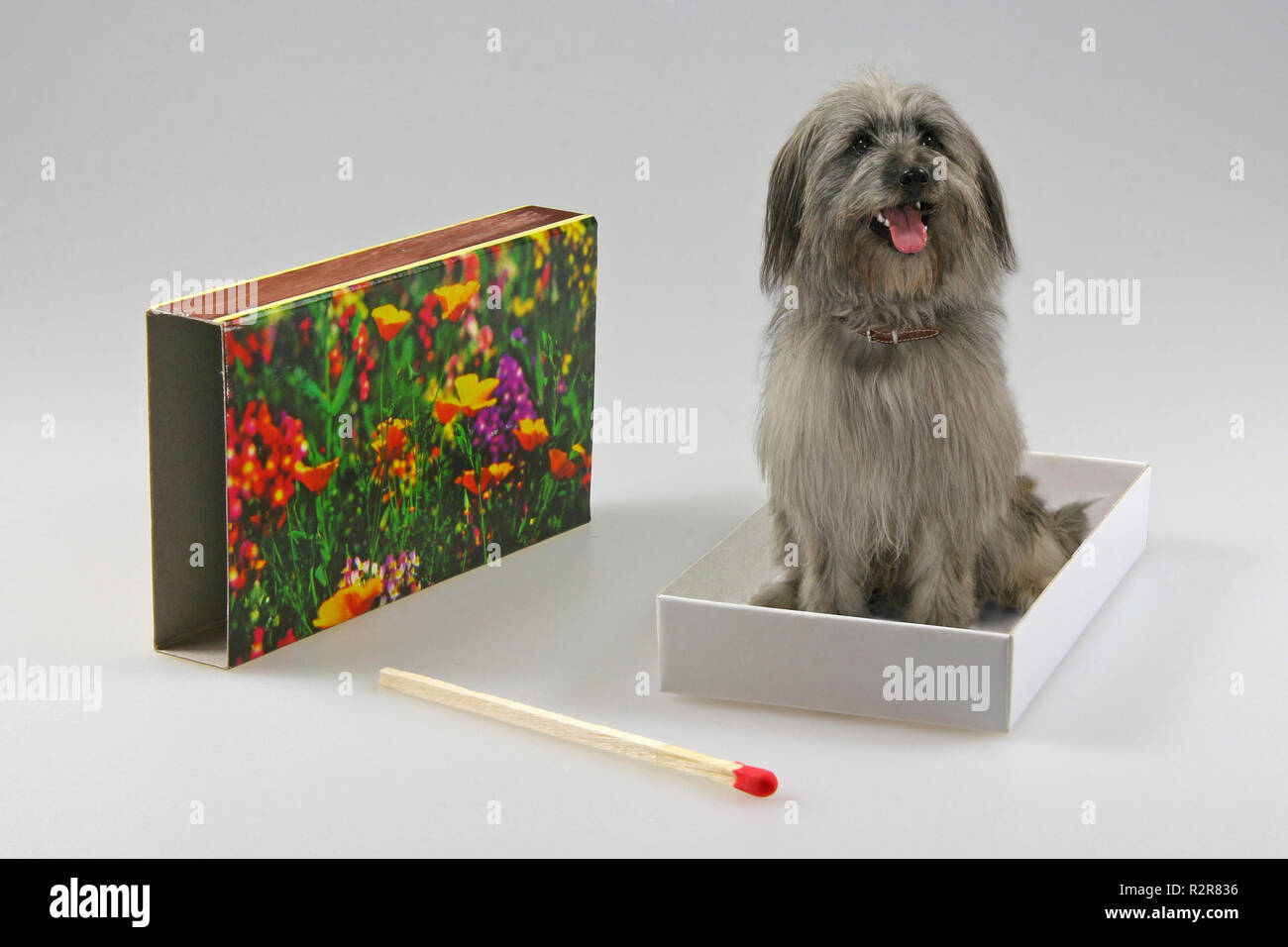 Matchbox photo hi-res stock photography and images - Alamy