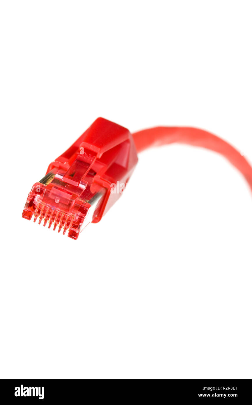 detail of a network plug isolated Stock Photo - Alamy