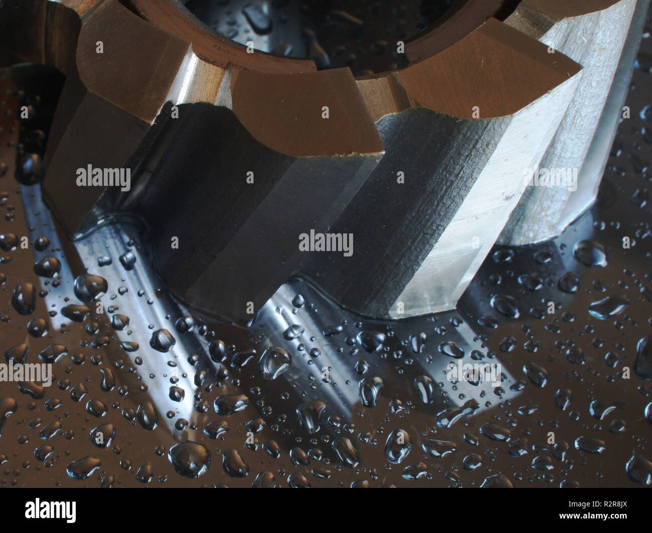 Cylindrical shell hi-res stock photography and images - Alamy