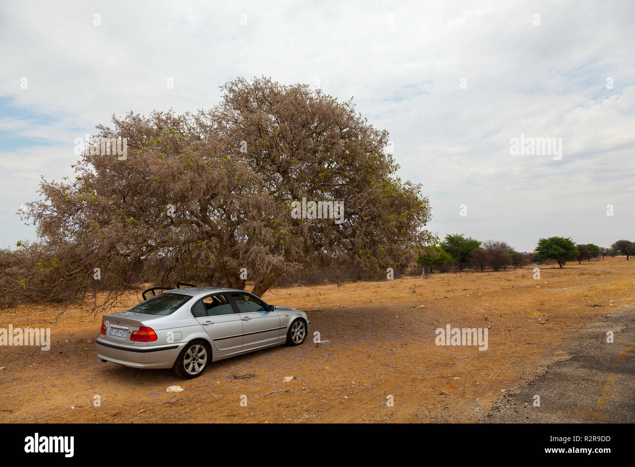 The dry and arid Namib desert in the Namibian Skeleton coast Stock ...