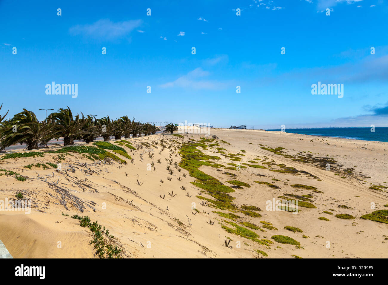 The dry and arid Namib desert in the Namibian Skeleton coast Stock ...