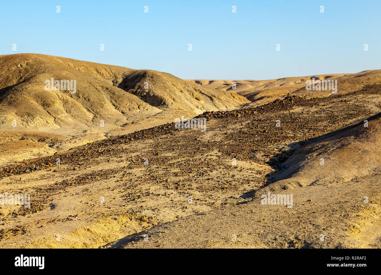 The dry and arid Namib desert in the Namibian Skeleton coast Stock ...