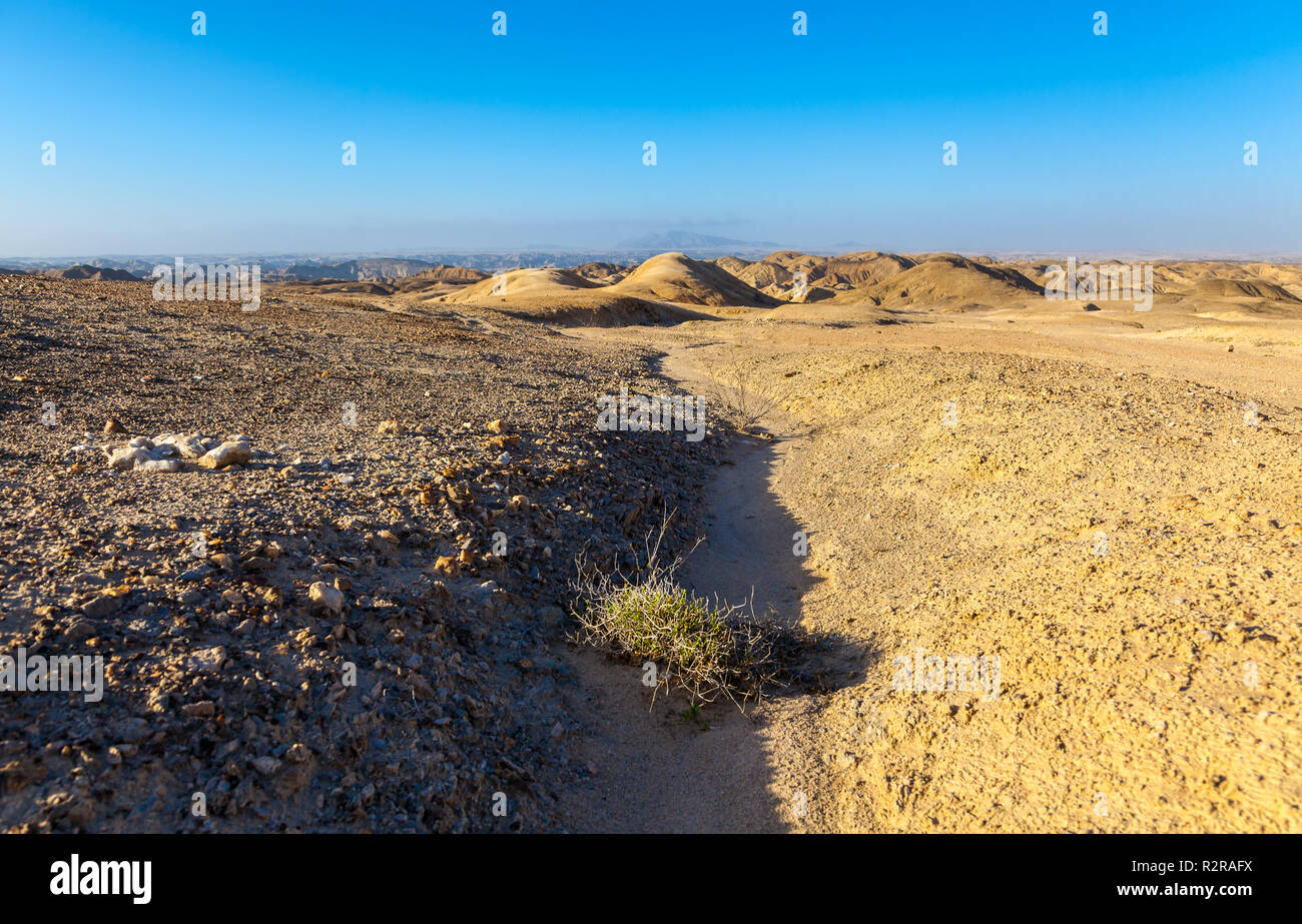 The dry and arid Namib desert in the Namibian Skeleton coast Stock ...