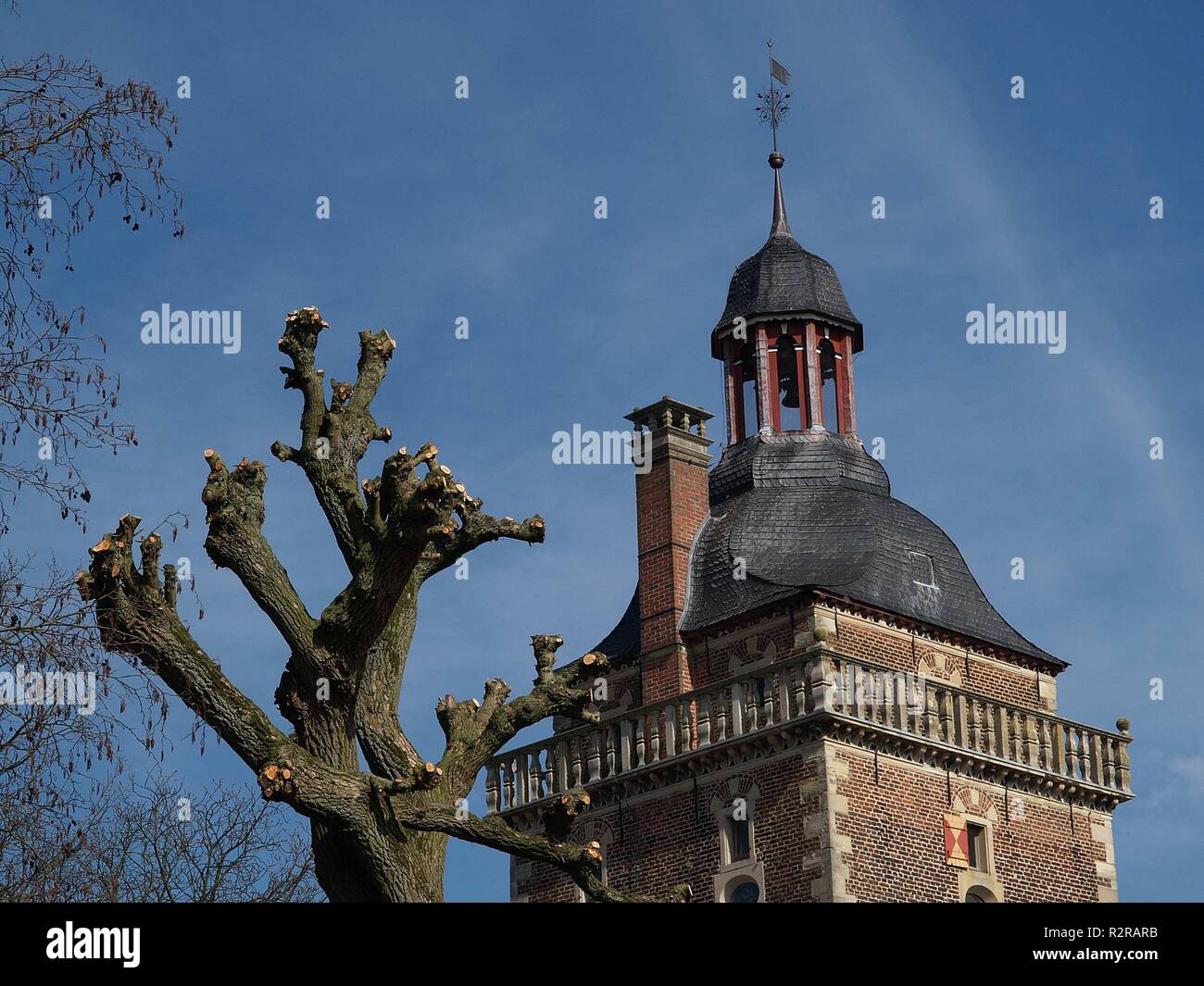 castle tower with tree Stock Photo - Alamy