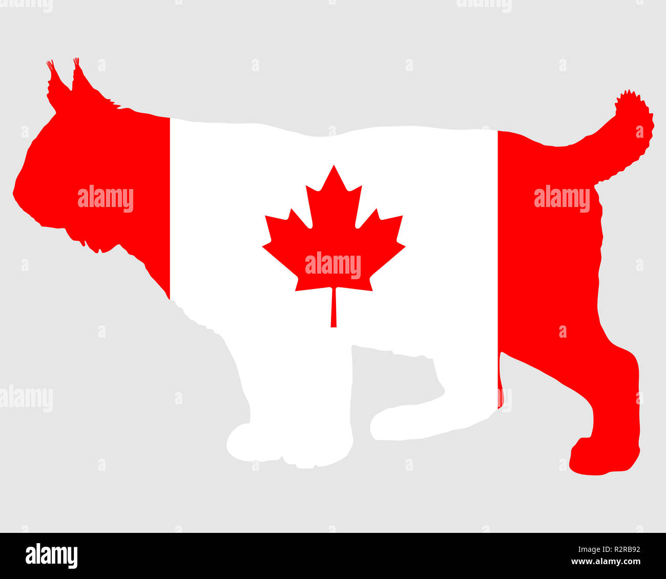 European lynx illustration hi-res stock photography and images - Alamy