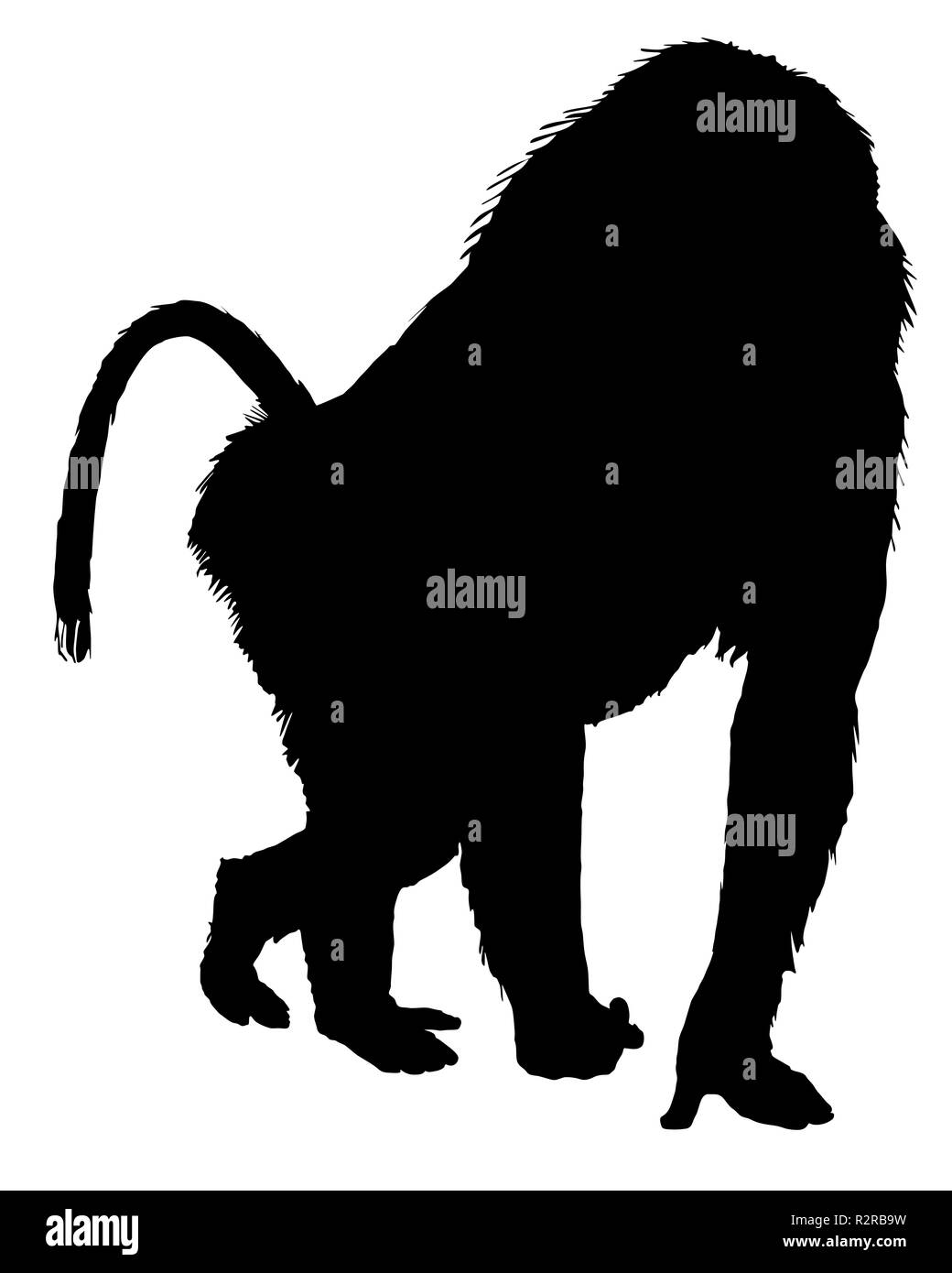 Baboon silhouette hi-res stock photography and images - Alamy