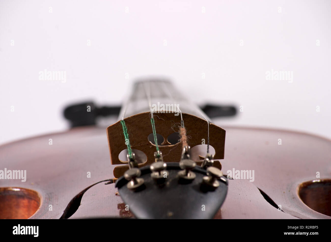Violin snail hi-res stock photography and images - Alamy