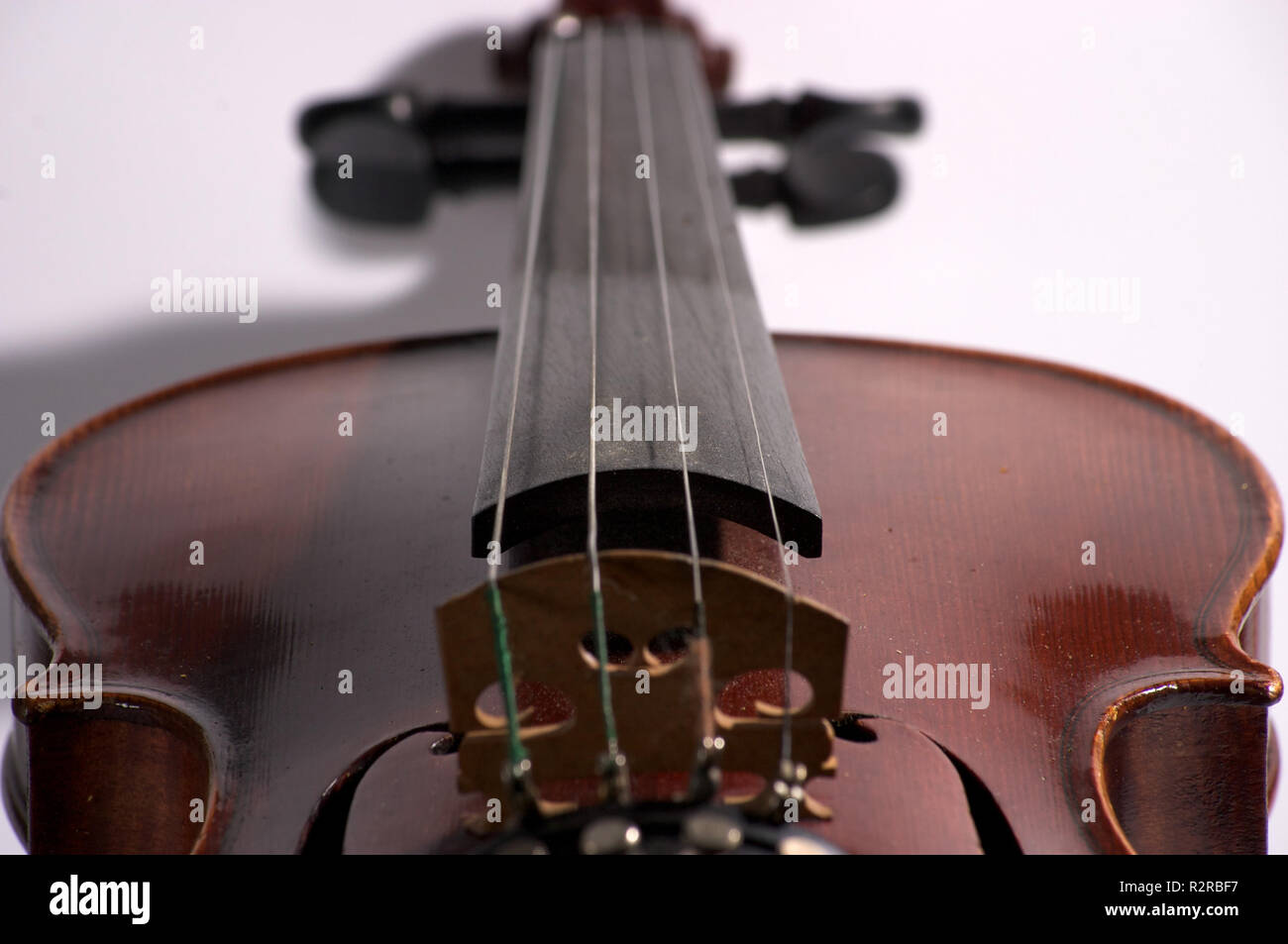 Violin snail hi-res stock photography and images - Alamy