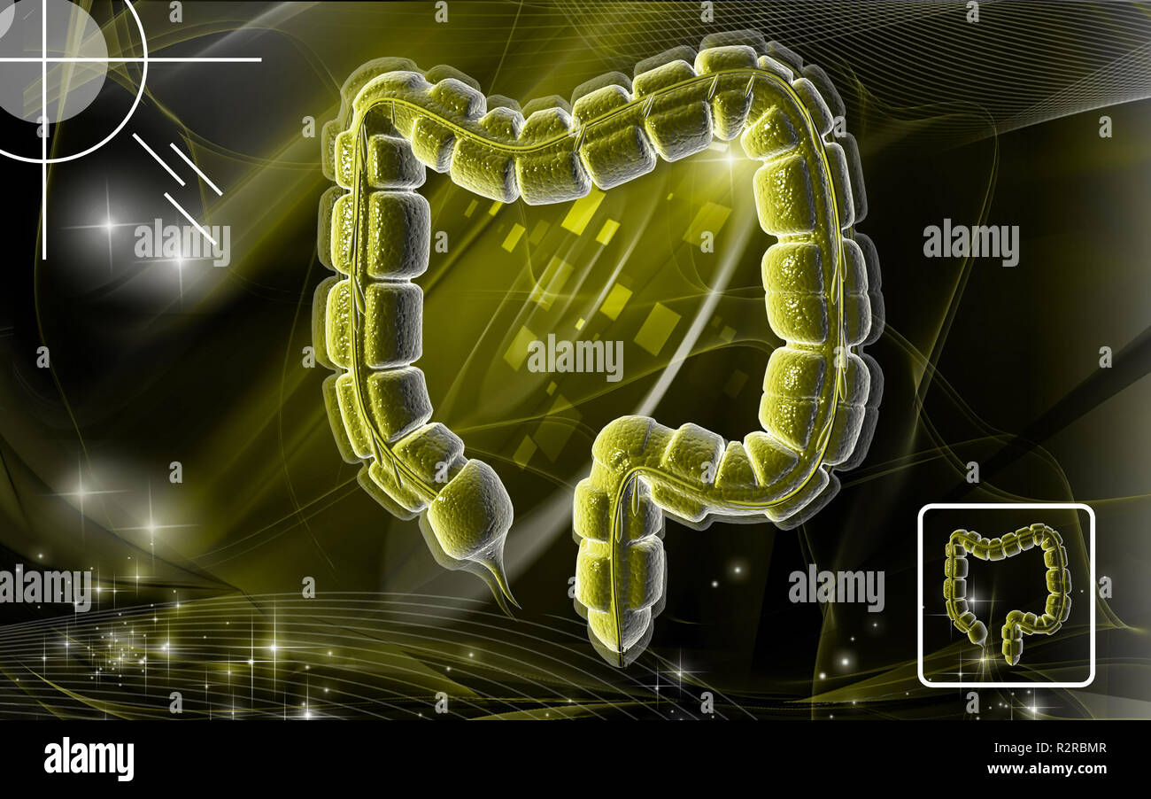 Human anatomy relevant hi-res stock photography and images - Alamy