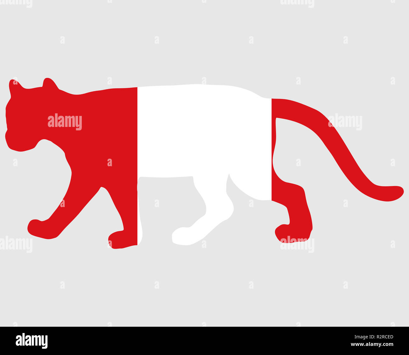 Blank panther hi-res stock photography and images - Alamy