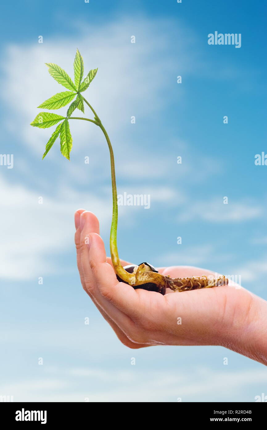 Jump start project hi-res stock photography and images - Alamy