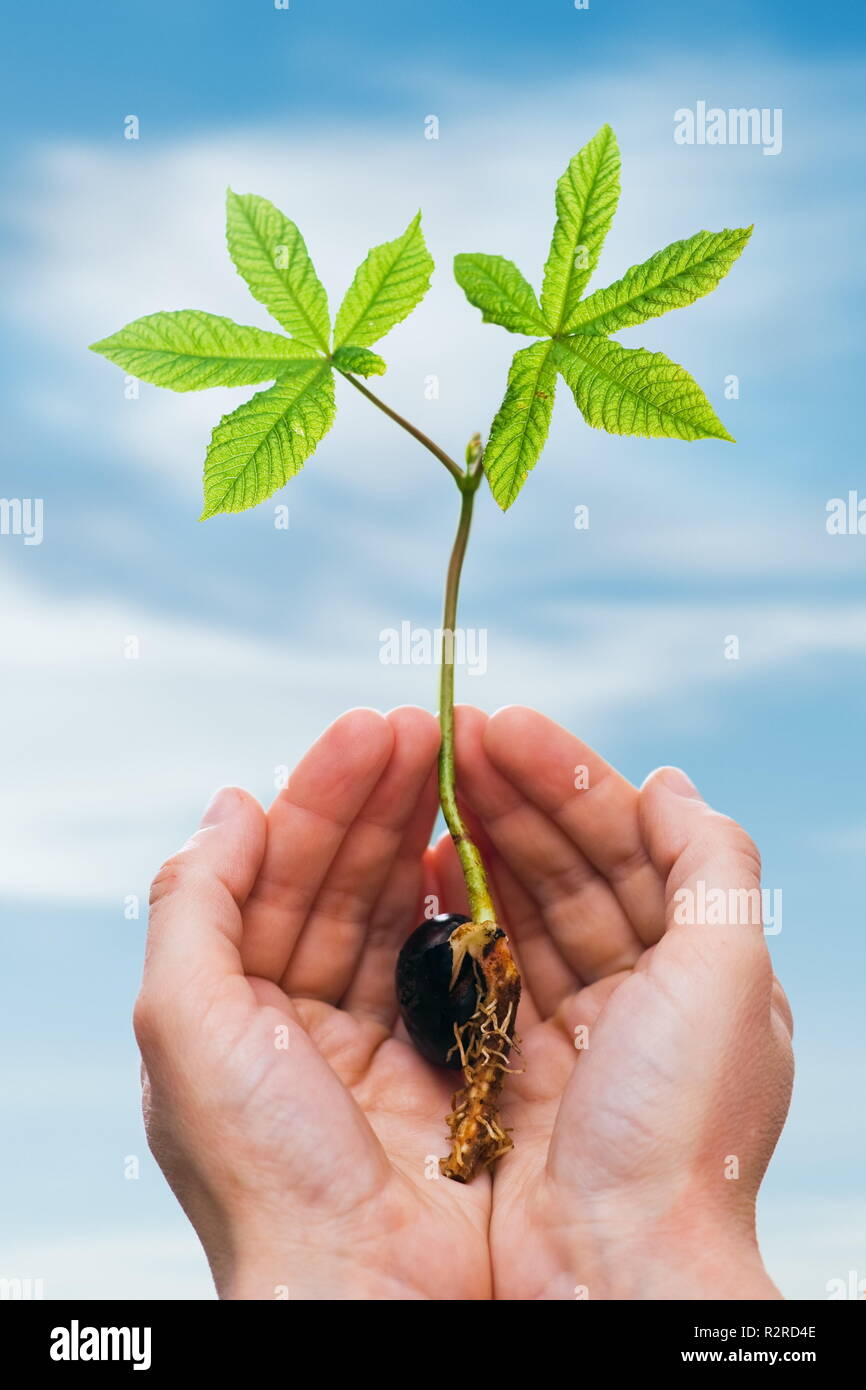 Jump start project hi-res stock photography and images - Alamy